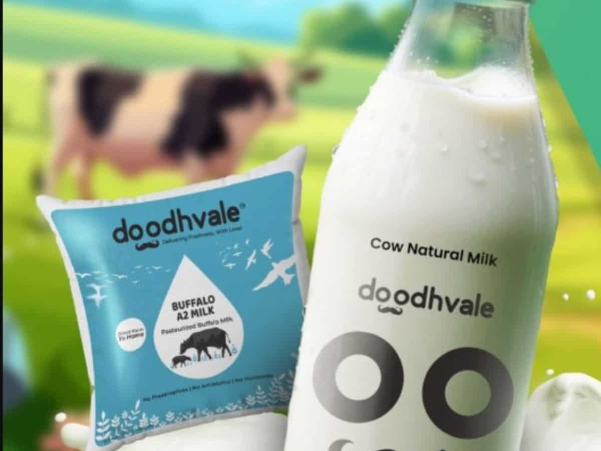 Dairy startup Doodhvale Farms secures $3 million funding led by Atomic ...