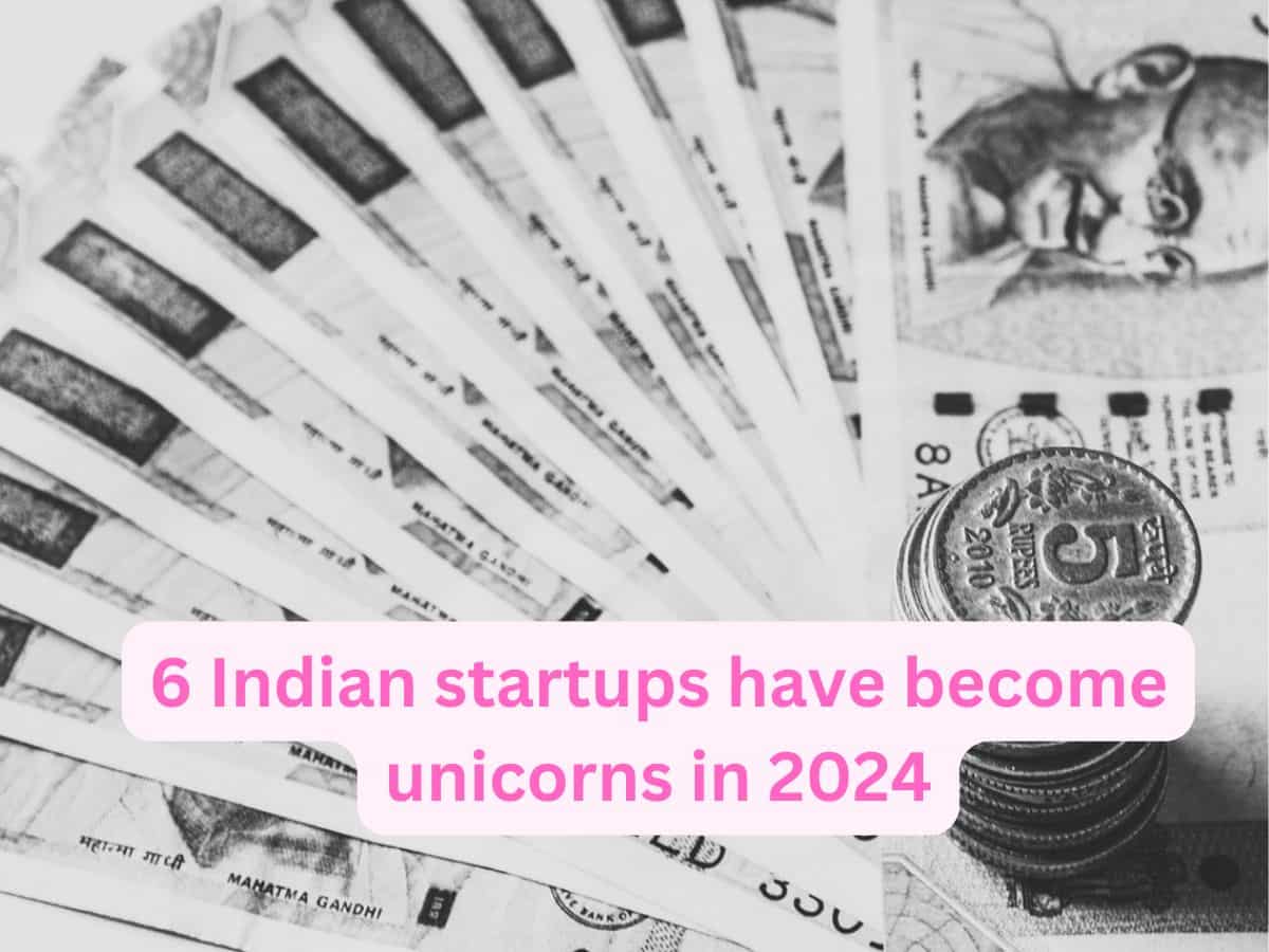 6 Indian startups have become unicorns this year; know about their founders, profiles and funding