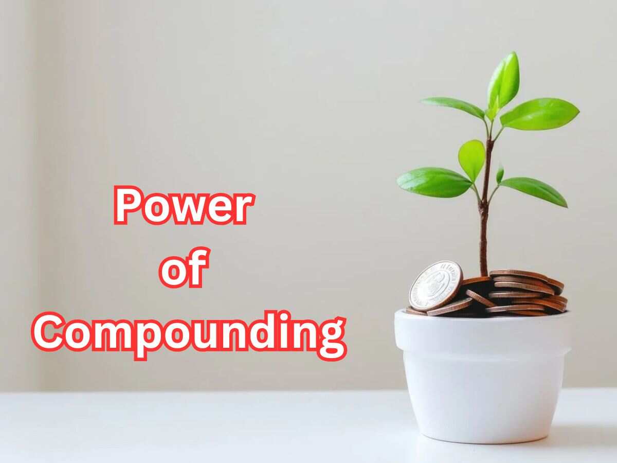 Power of Compounding: Rs 2,000 regular SIP vs Rs 2,000 step up SIP; how ...