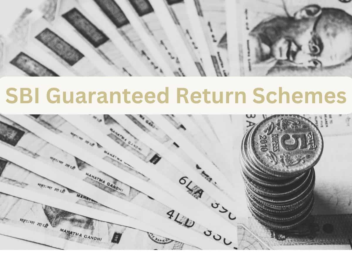 SBI Guaranteed Return Schemes: Here's what PSU bank is giving on Amrit ...