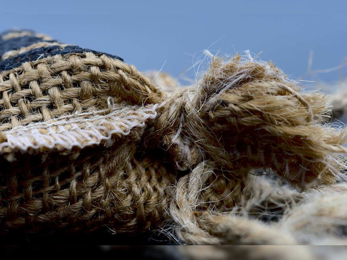 Government raises raw jute MSP by 6% to Rs 5,650 per quintal | Zee Business