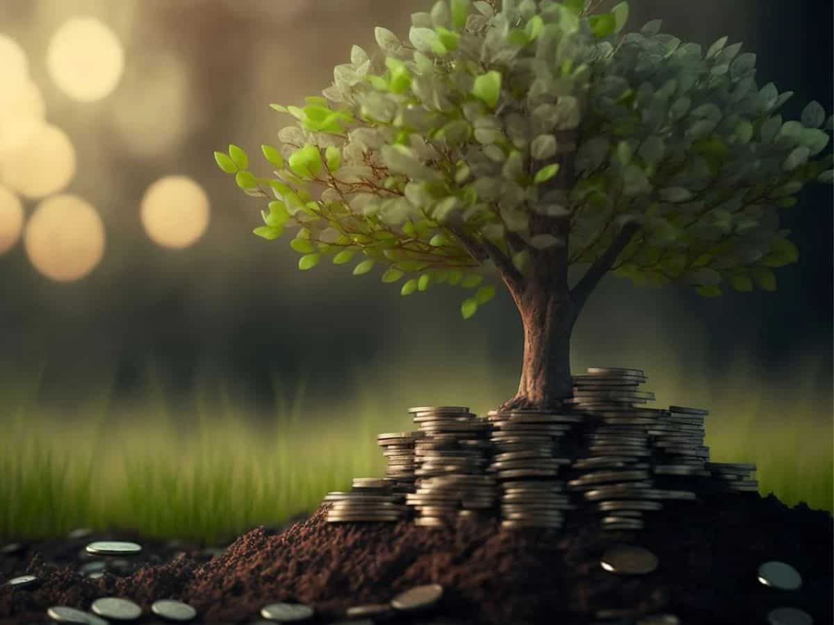 SBI Amrit Vrishti 444-day FD vs SBI Amrit Kalash 400-day FD: What will ...