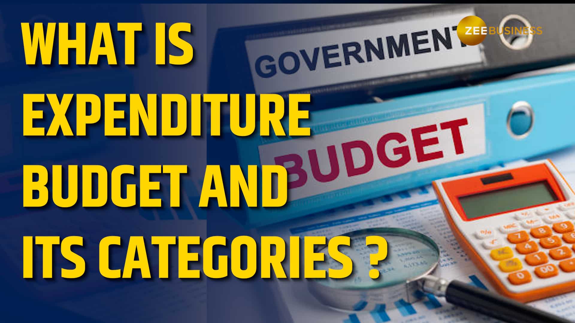 Union Budget 2025 : Understanding the Expenditure Budget and Categories