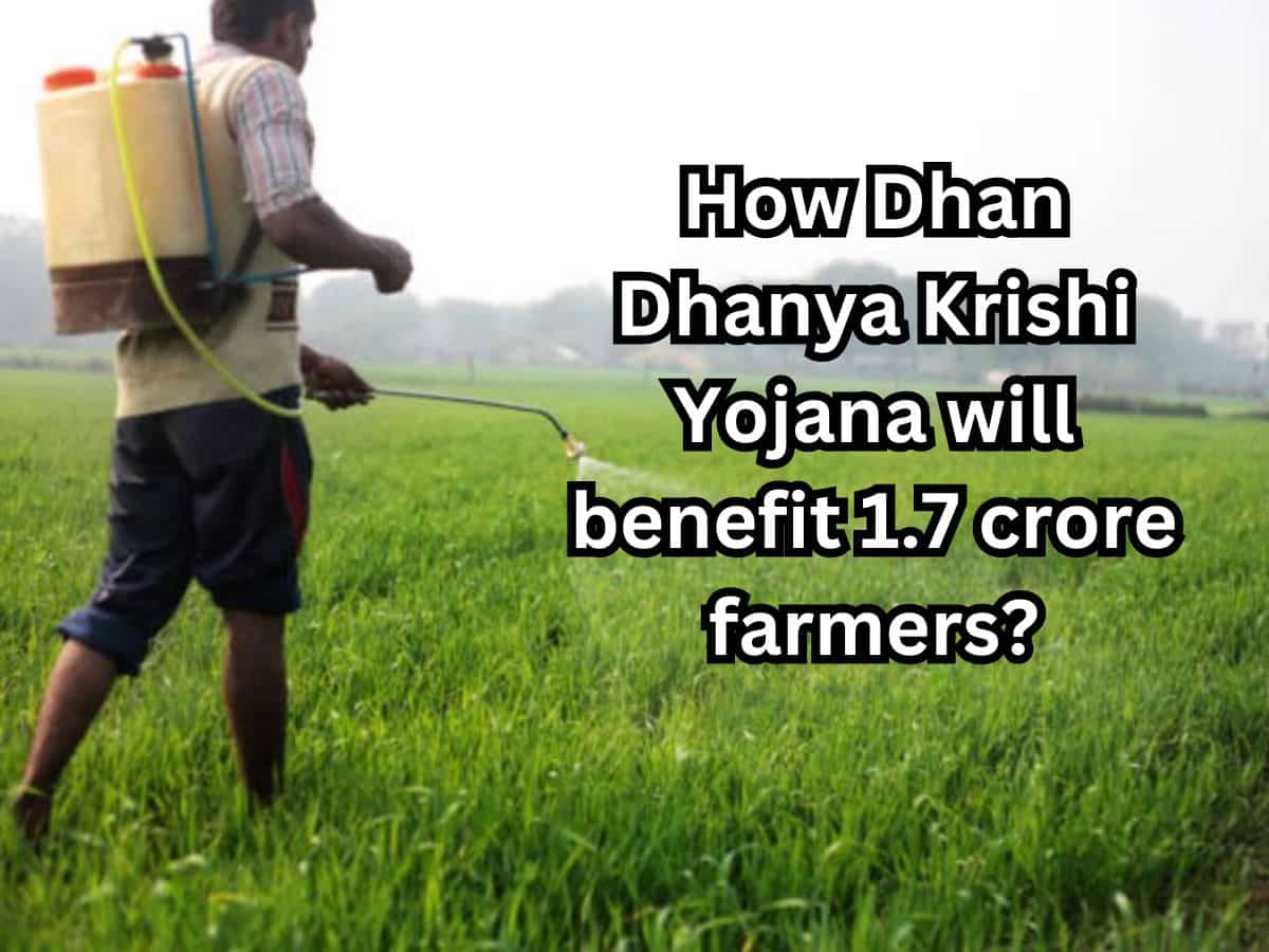 Budget 2025: What is PM Dhan-Dhaanya Scheme? Aim to benefit 1.7 crore ...