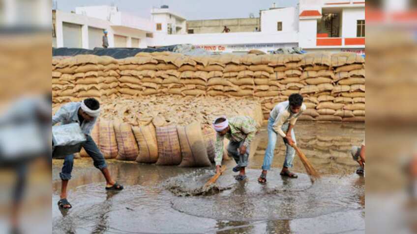 Agri stocks rally post Budget 2025: These farming-related stocks gain ...