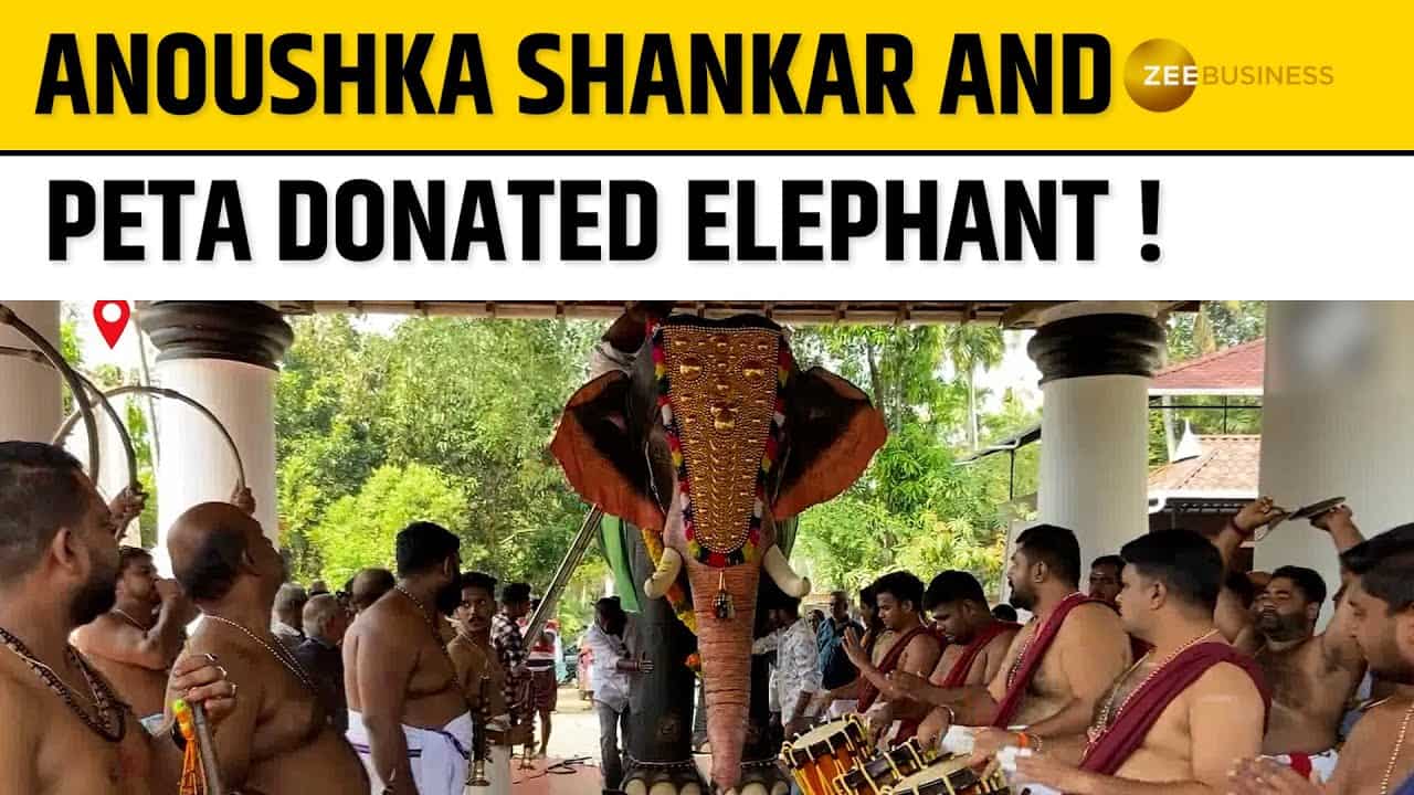Anoushka Shankar and PETA Donate Mechanical Elephant
