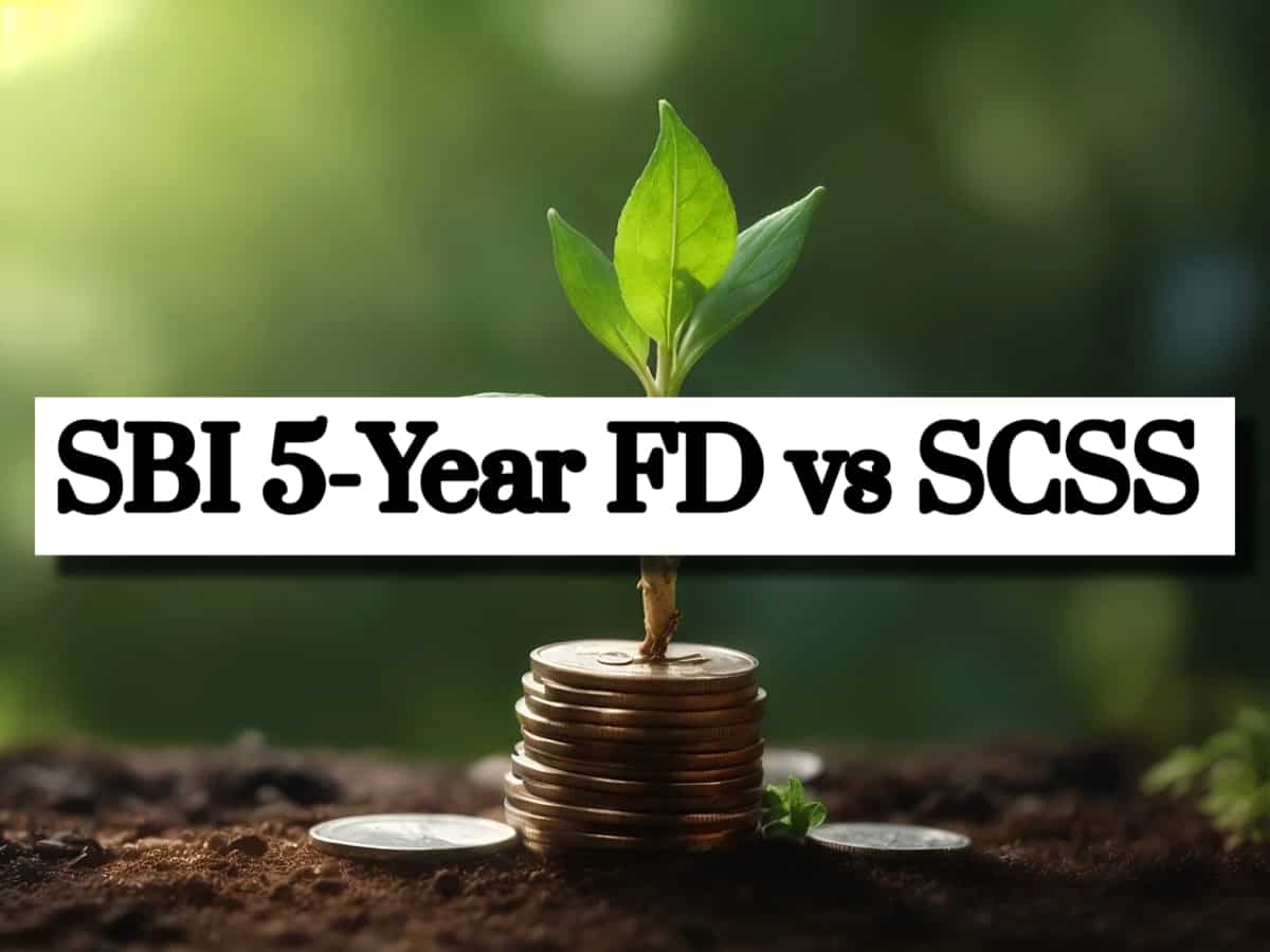 SBI 5-Year FD vs SCSS: Which investment option can offer better returns with quarterly payments ...