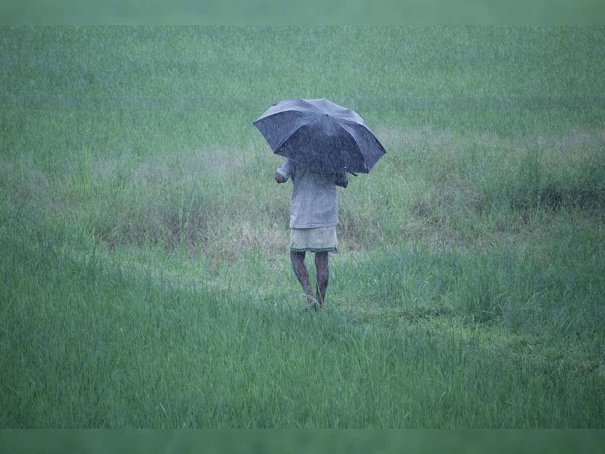 Weather Update: Rain, thunderstorms likely in most districts of West Bengal | Zee Business
