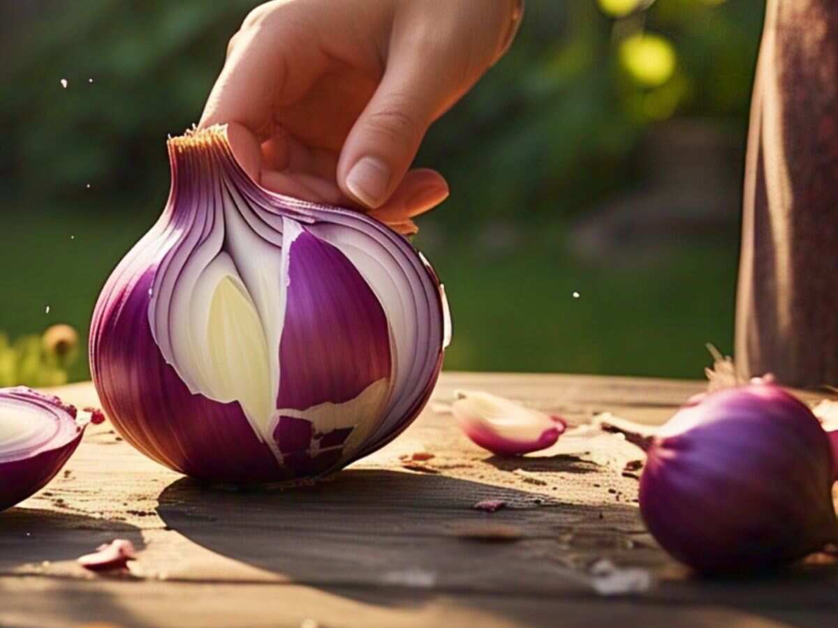 Good news, onion farmers! 20% export duty removed from April 1—See details | Zee Business