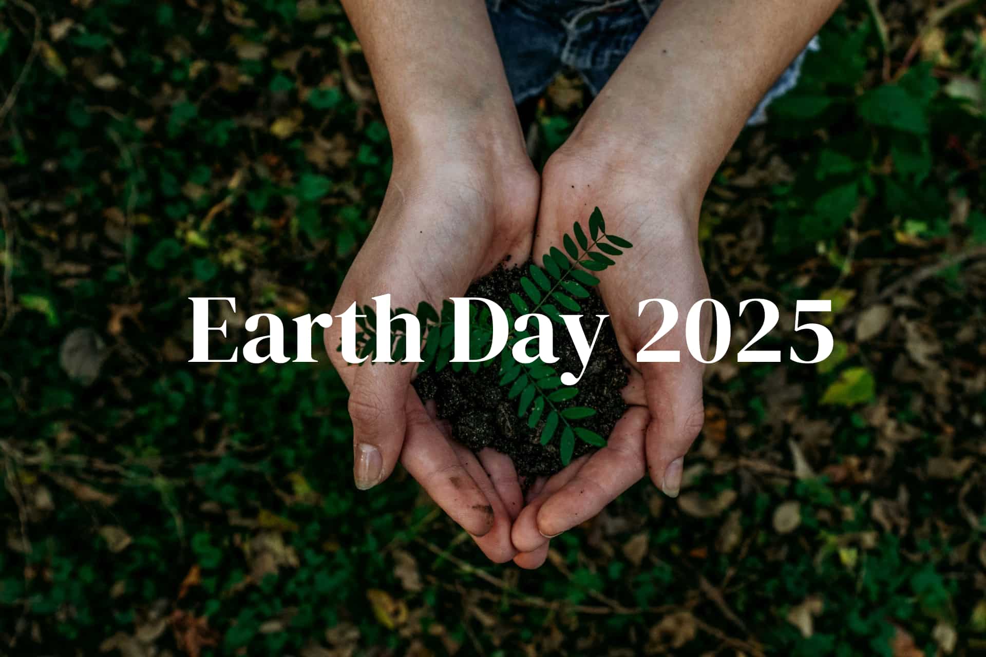 Earth Day 2025: Know this year’s theme, history and significance | Zee ...