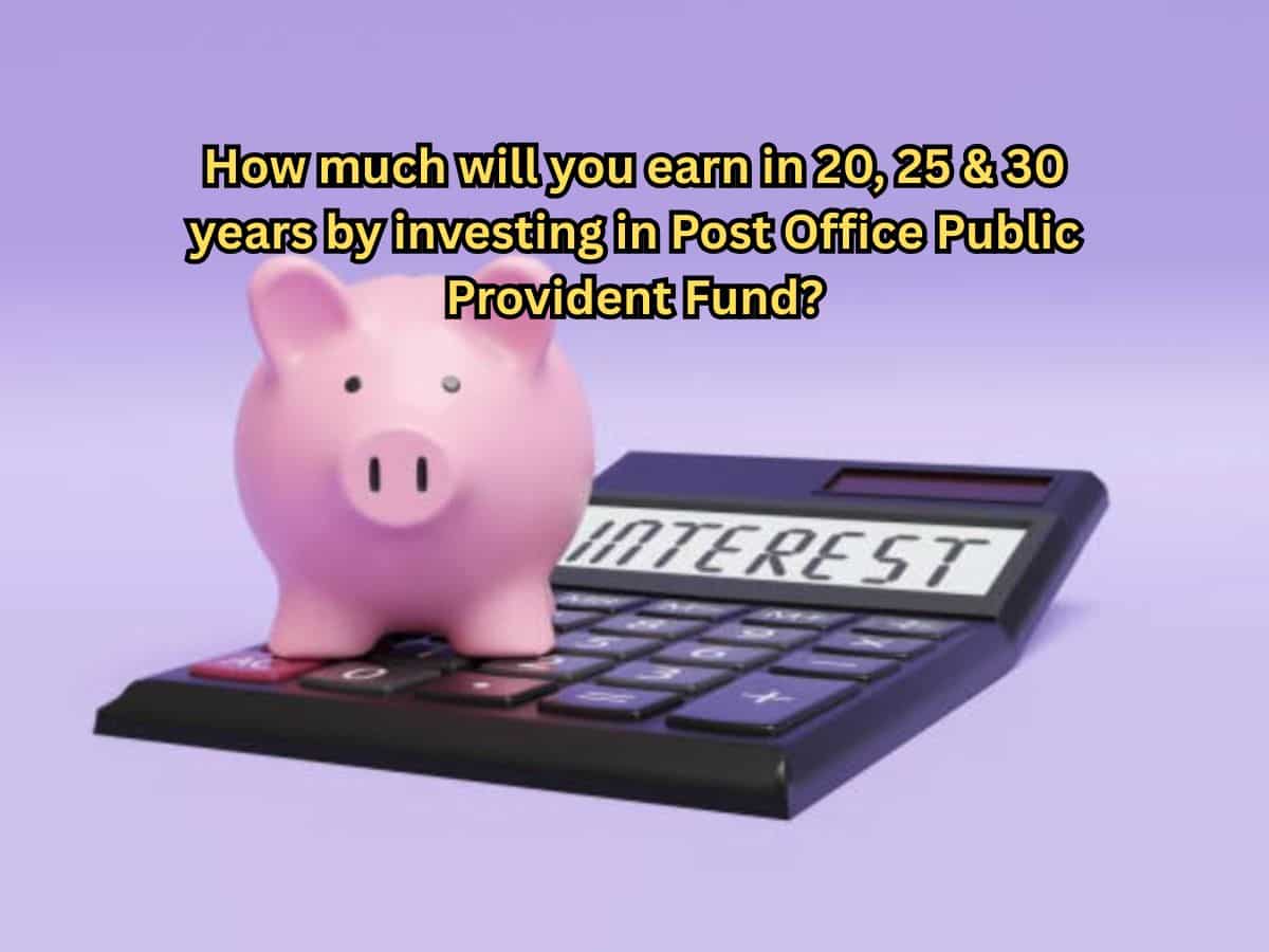 PPF Maturity Calculation: How much will you earn in 20, 25 & 30 years ...