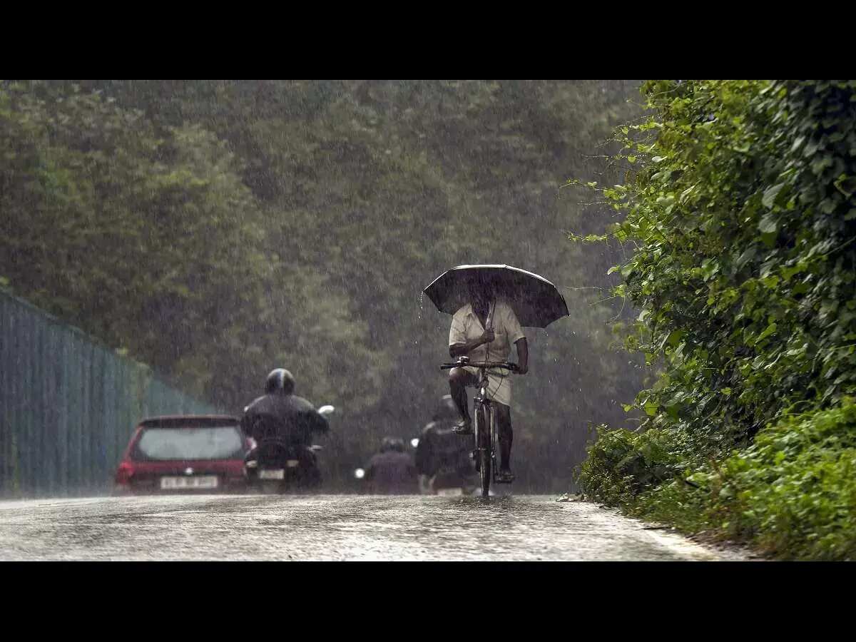 Kerala Rains: Gusty winds, heavy showers disrupt life; trains delayed ...