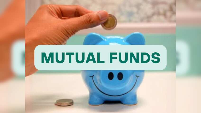 Equity mutual fund inflows drop 22% in May despite market gains: AMFI