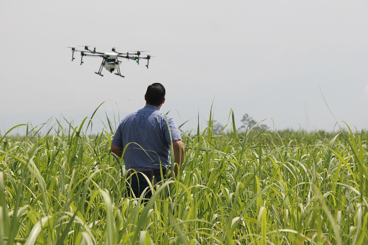 Drone Scheme: This government offers Rs 3.65 lakh subsidy, free ...