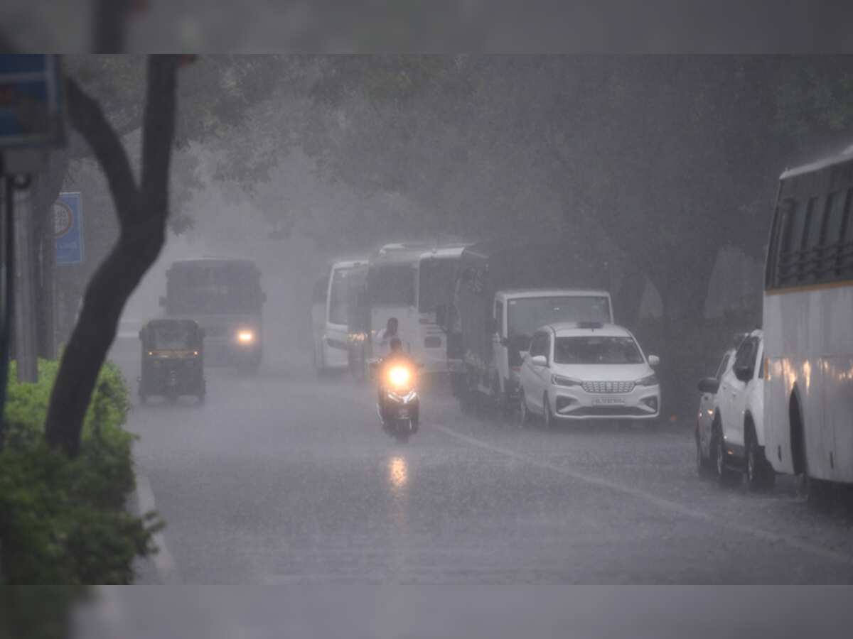 IMD issues red alert in Delhi-NCR due to heavy rainfall | Zee Business