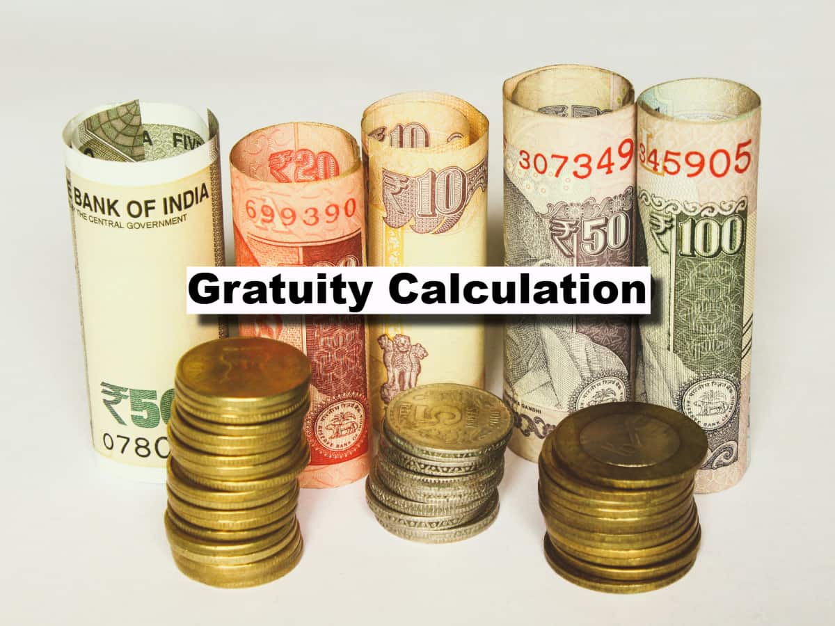 Gratuity Calculator: What will be your gratuity for Rs 50,000, Rs ...