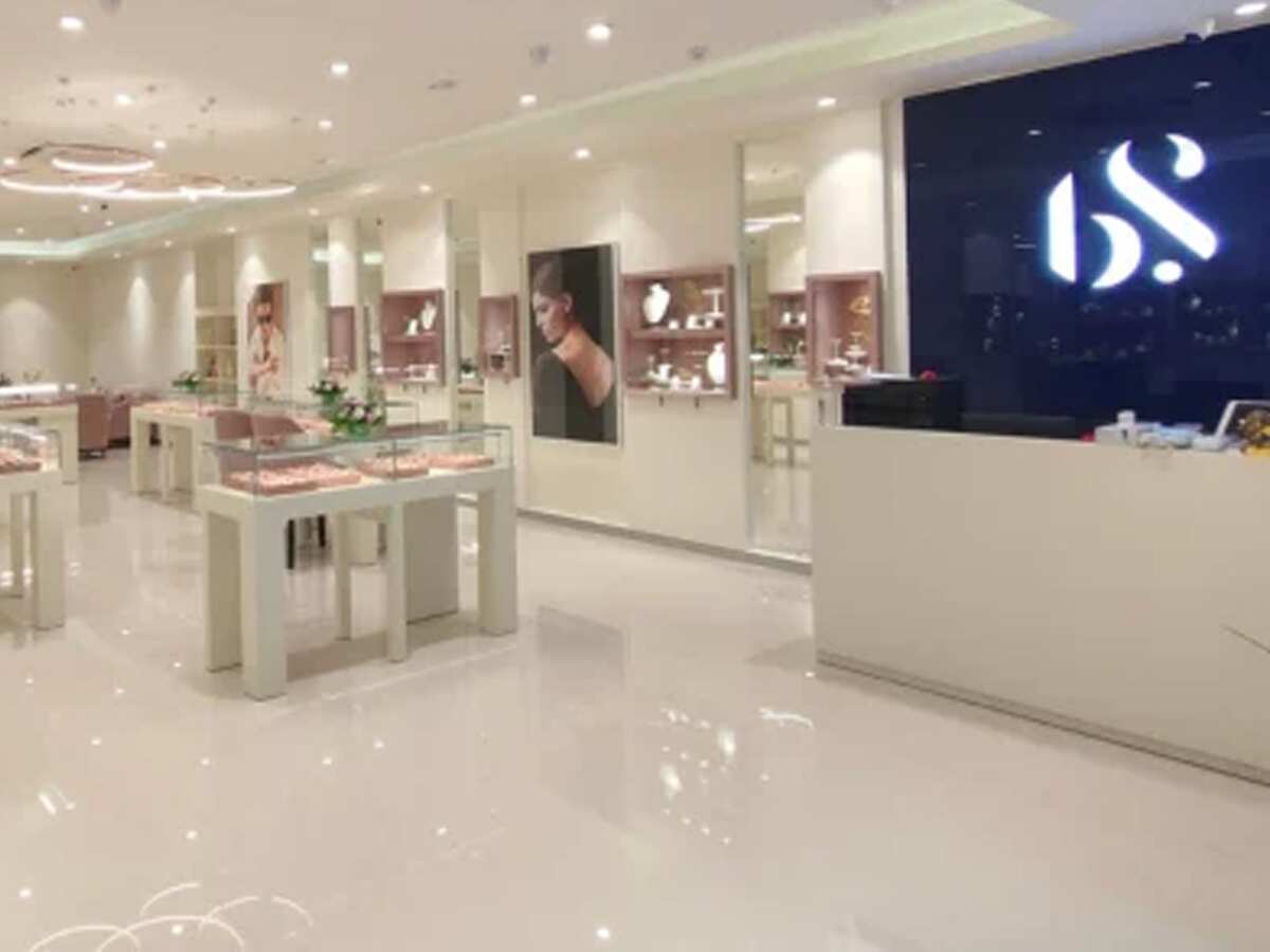 BlueStone Jewellery IPO to Open on August 11; price band, issue size ...