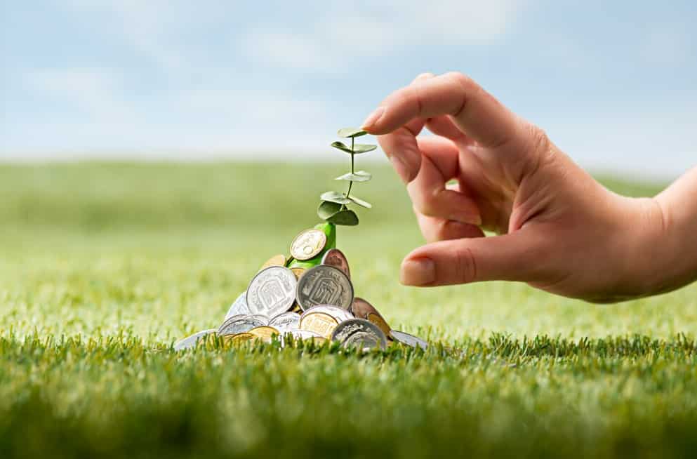 Top Midcap Mutual Funds: 5 schemes that have turned Rs 10,00,000 into ...
