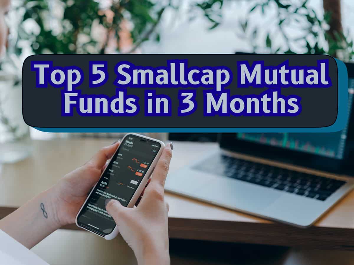 Borrow & fund your own pocket money! Top 5 smallcap mutual funds with ...