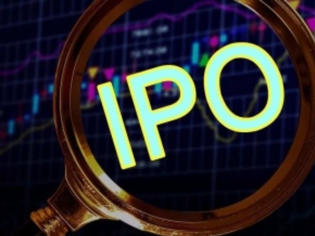 Pace Digitek IPO: Day 2 of bidding, should you subscribe? See what Anil Singhvi suggests