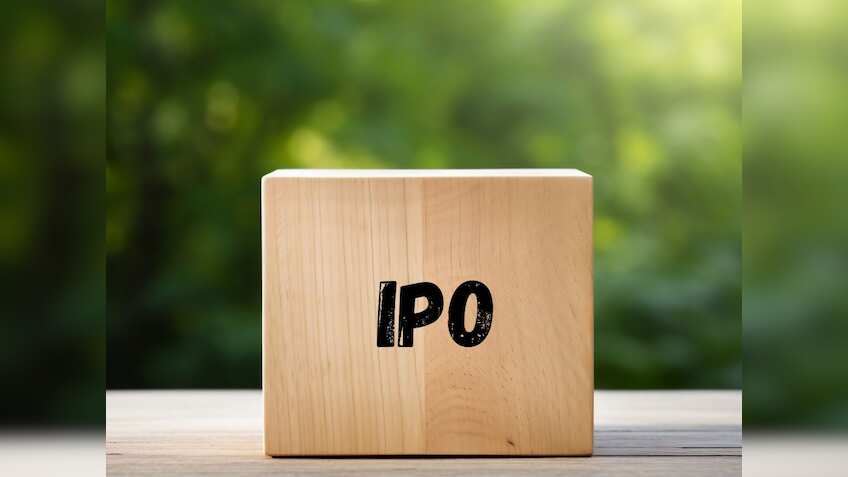 Pace Digitek IPO: Check your allotment status online with these easy steps