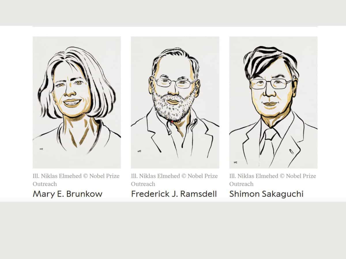 Nobel Prize in Physiology or Medicine 2025: Mary E Brunkow, Fred Ramsdell & Shimon Sakaguchi win ...