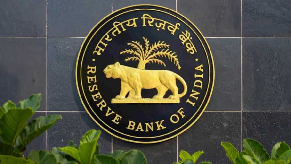 RBI December MPC Meet: 25 bps rate cut likely? Morgan Stanley expects ...
