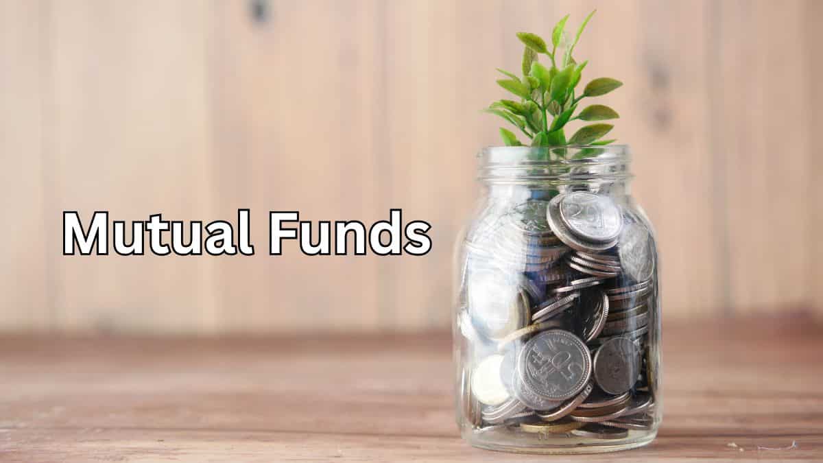 India’s mutual fund industry moves toward long-term investment focus ...