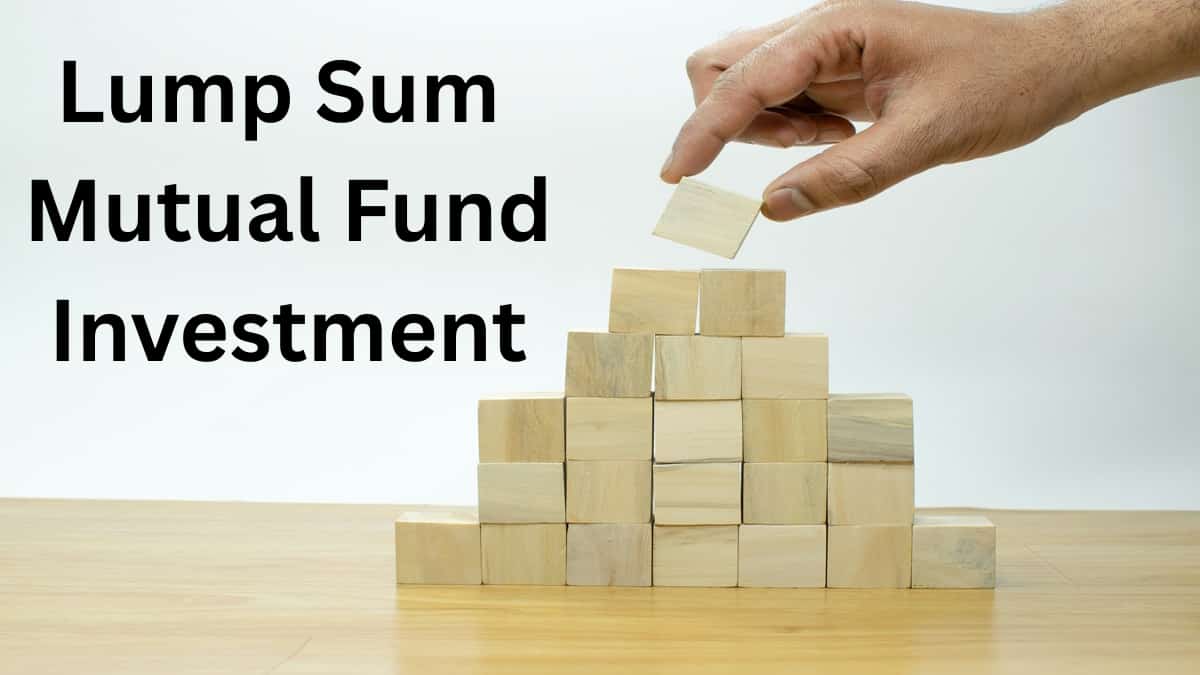 Thinking of investing in a lump-sum mutual fund? Know who should choose ...