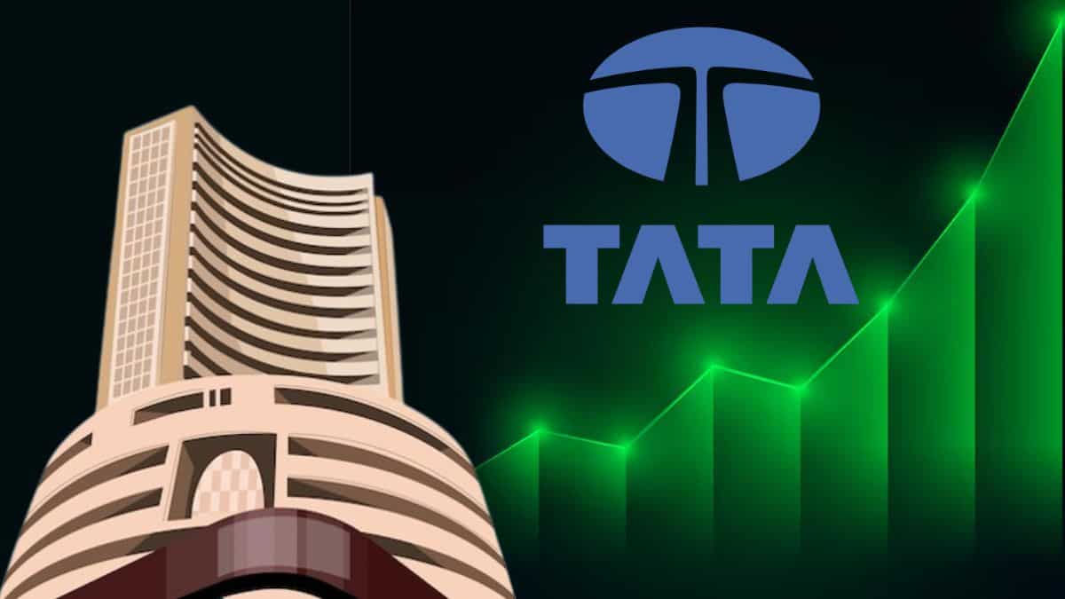 Tata Group stock backed by LIC and Rekha Jhunjhunwala – Goldman Sachs ...