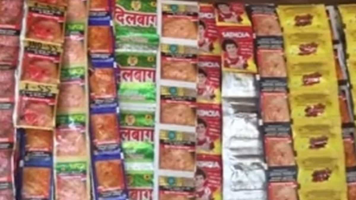 Centre makes it mandatory! Pan masala makers must disclose retail ...
