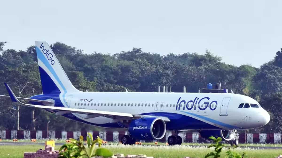 Flight Meltdown at IndiGo: Delhi, Mumbai passengers hit hard—1,000 ...