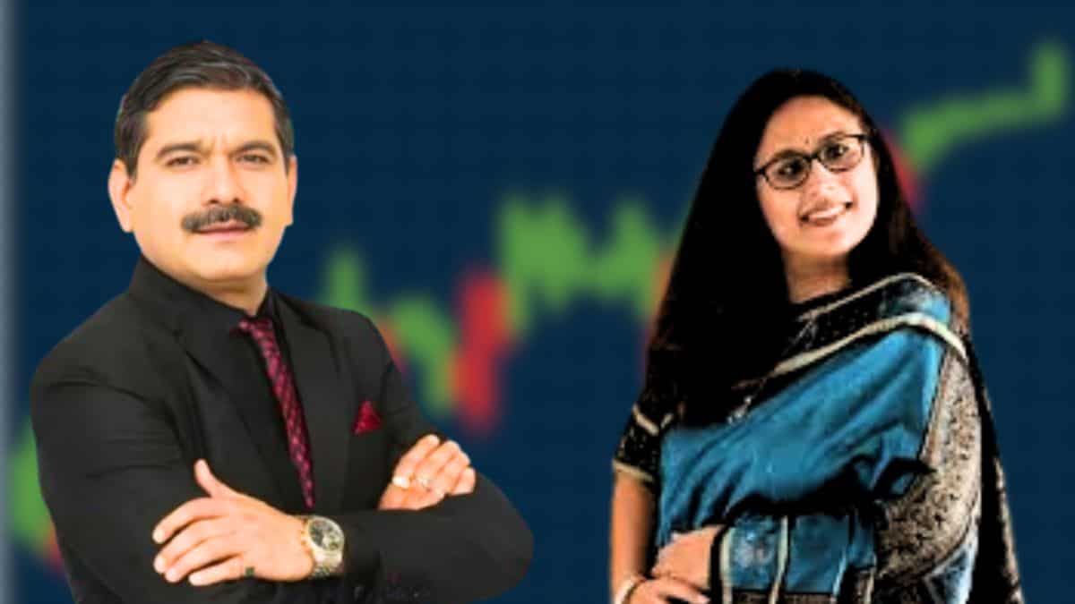 2026 likely to be better than a tough 2025, earnings revival key ...