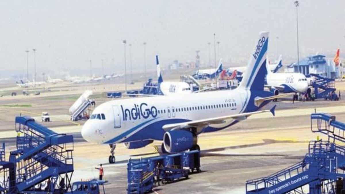 IndiGo marks 2025 as a year of growth and global expansion