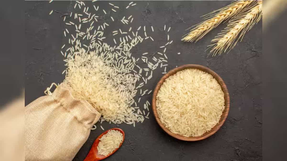 IREF urges fiscal measures in Budget 2026 to boost rice exports and ...