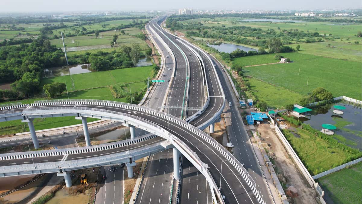 NHAI launches pilot to warn drivers of stray cattle on high-risk ...