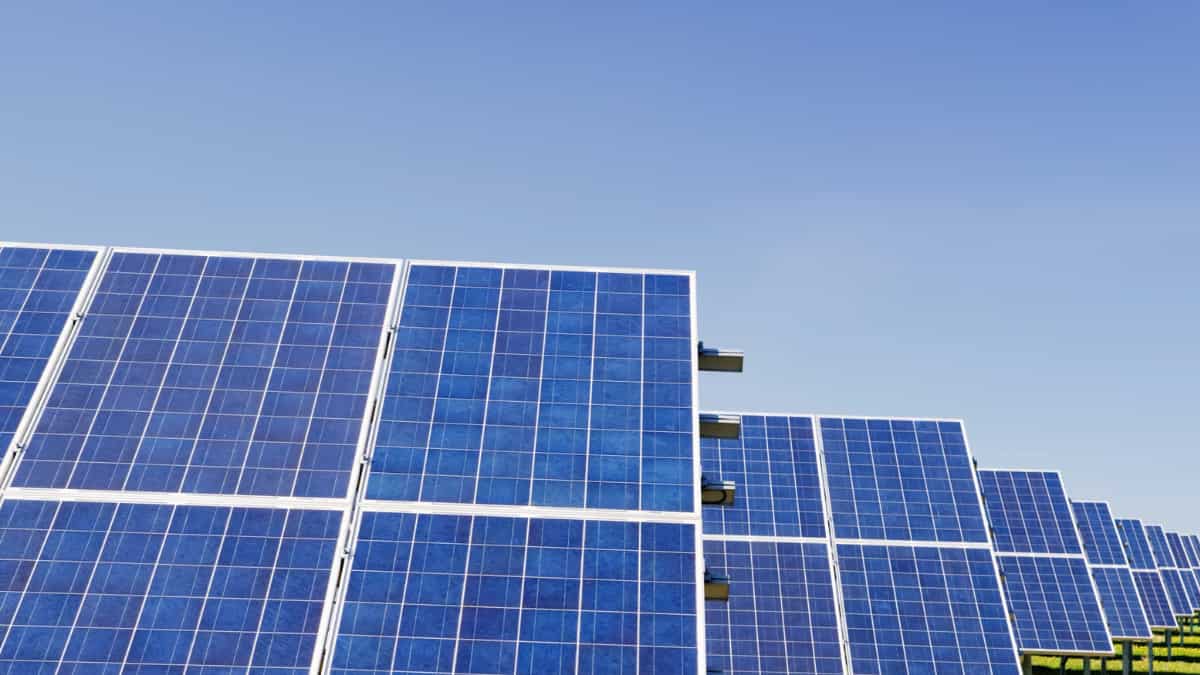 India, Canada can work closely on critical minerals, energy transition ...