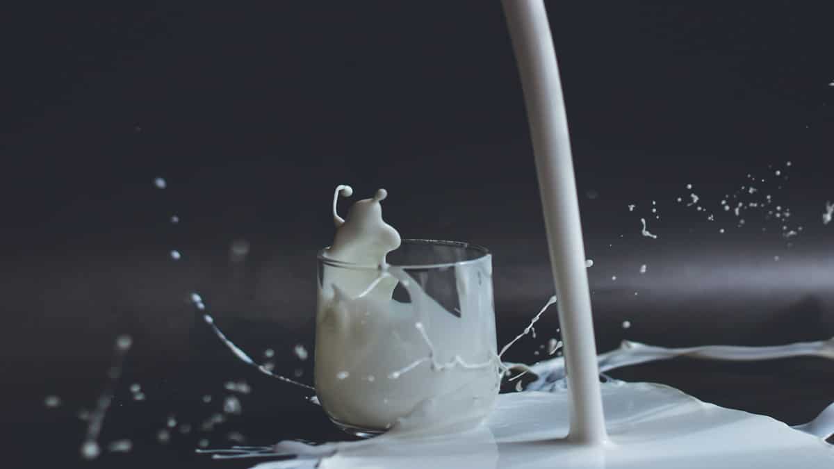 Milma milk price hike: Kerala cooperative raises rates by Rs 4 per ...