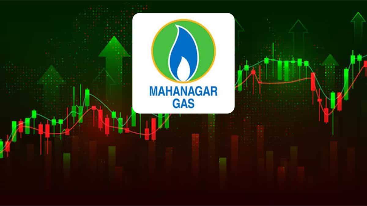 Big update for MGL customers: No more bill subsidies, piping cost ...