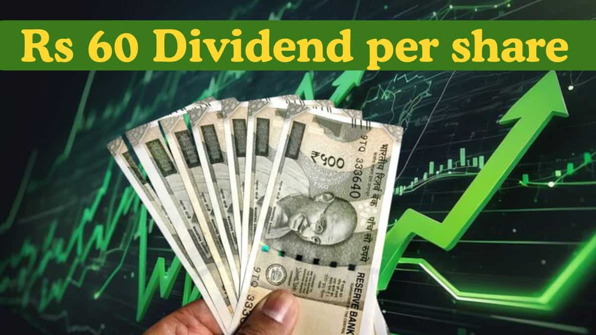 Rs 60 Dividend: Electrical equipment manufacturer to reward ...