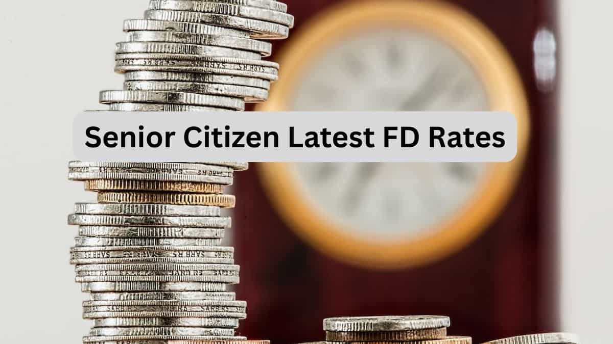 Senior Citizen Latest FD Rates: Know what SBI, BoB, PNB, other PSU ...